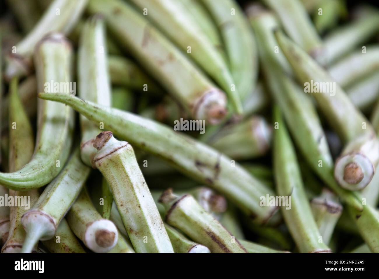 Close-up on a stack of okras for sale on a market stall Stock Photo - Alamy