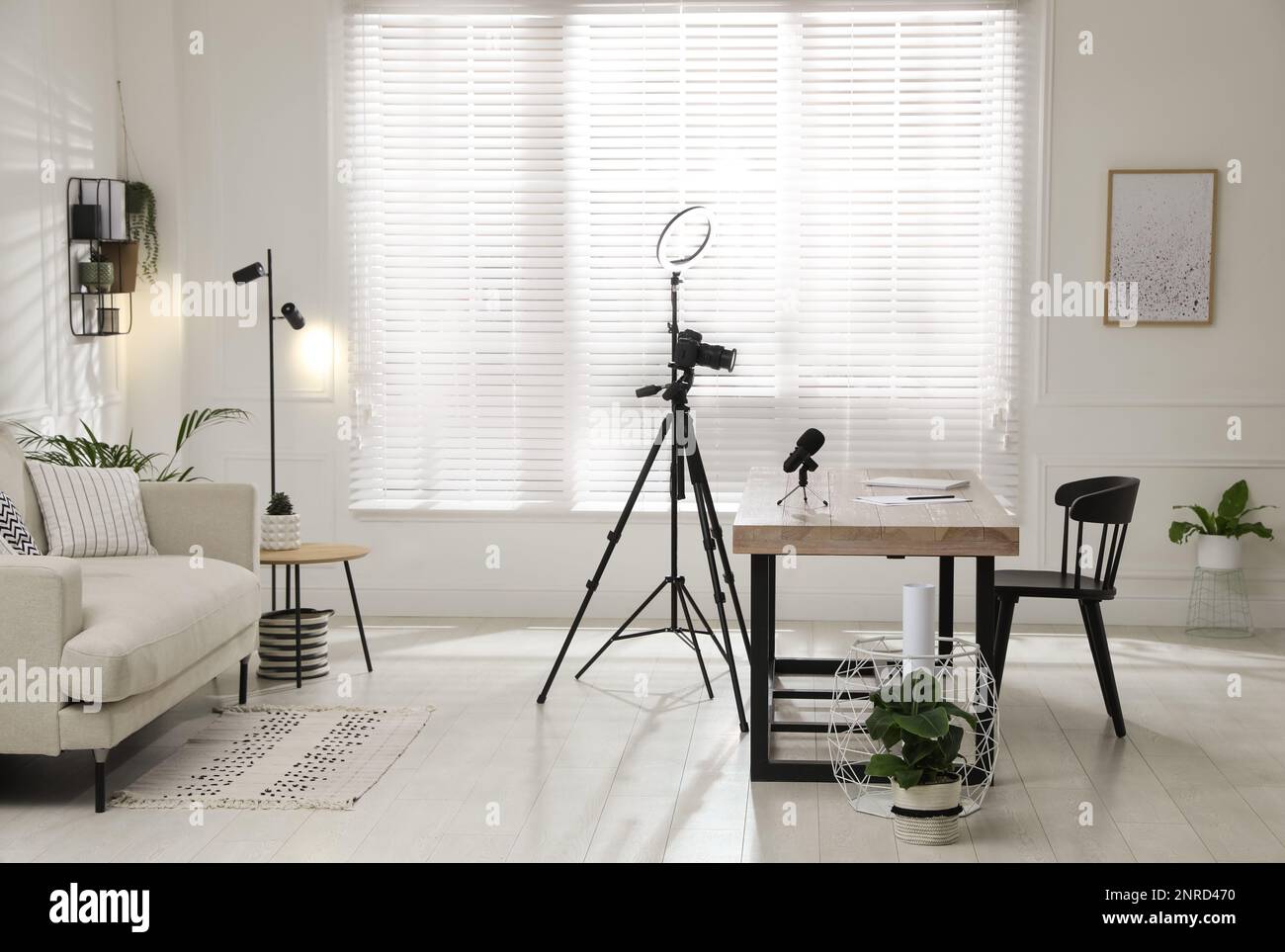 Ring light, camera and microphone for blogging in room Stock Photo - Alamy