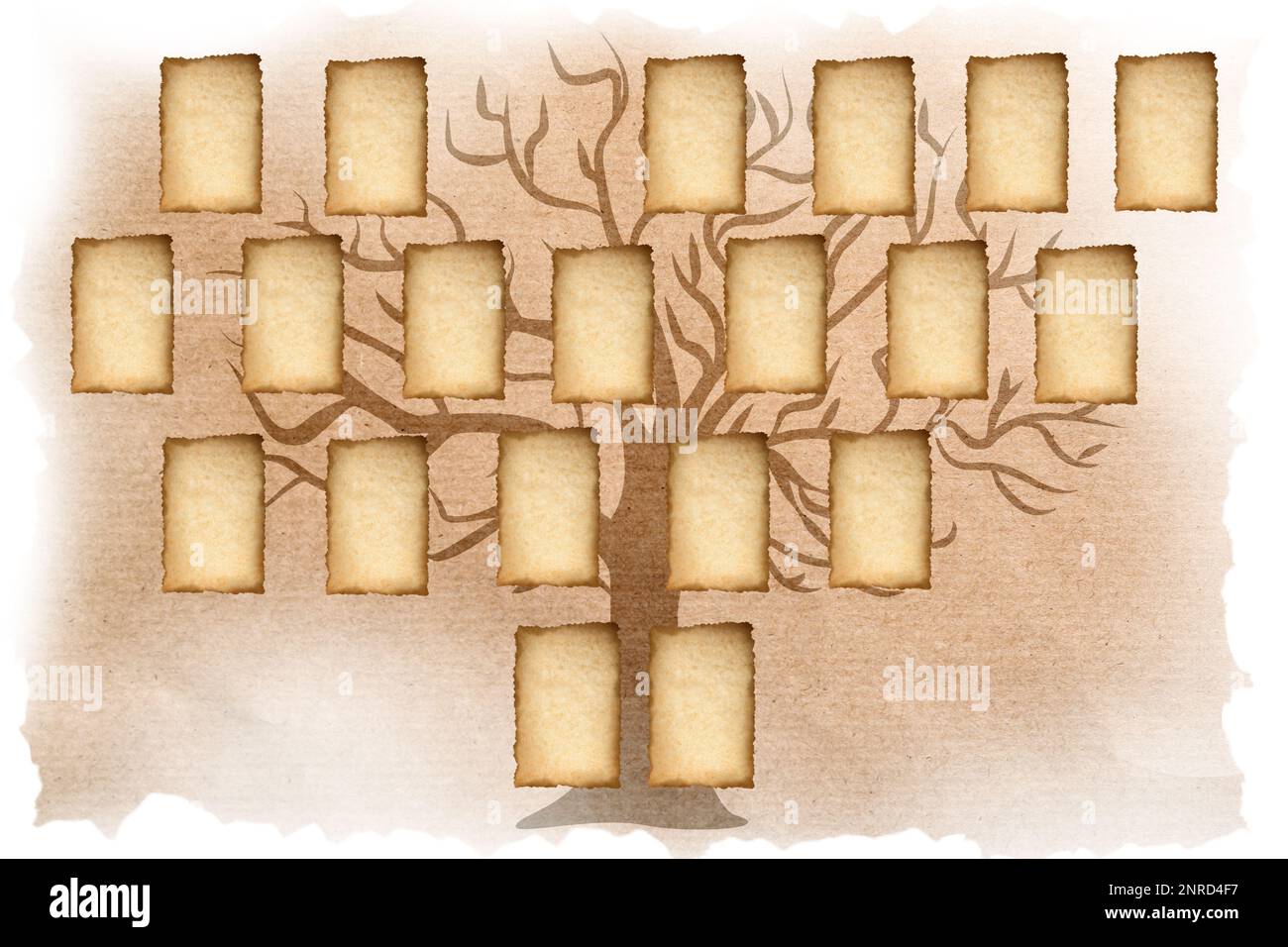 Family tree chart Cut Out Stock Images & Pictures - Alamy