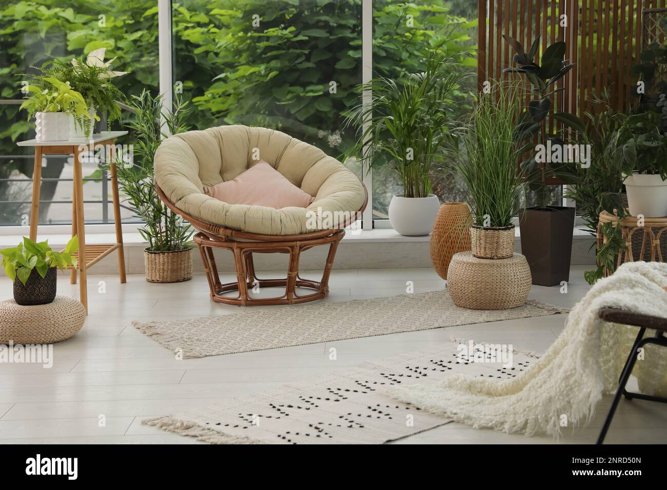 Indoor terrace interior with soft papasan chair and green plants Stock ...