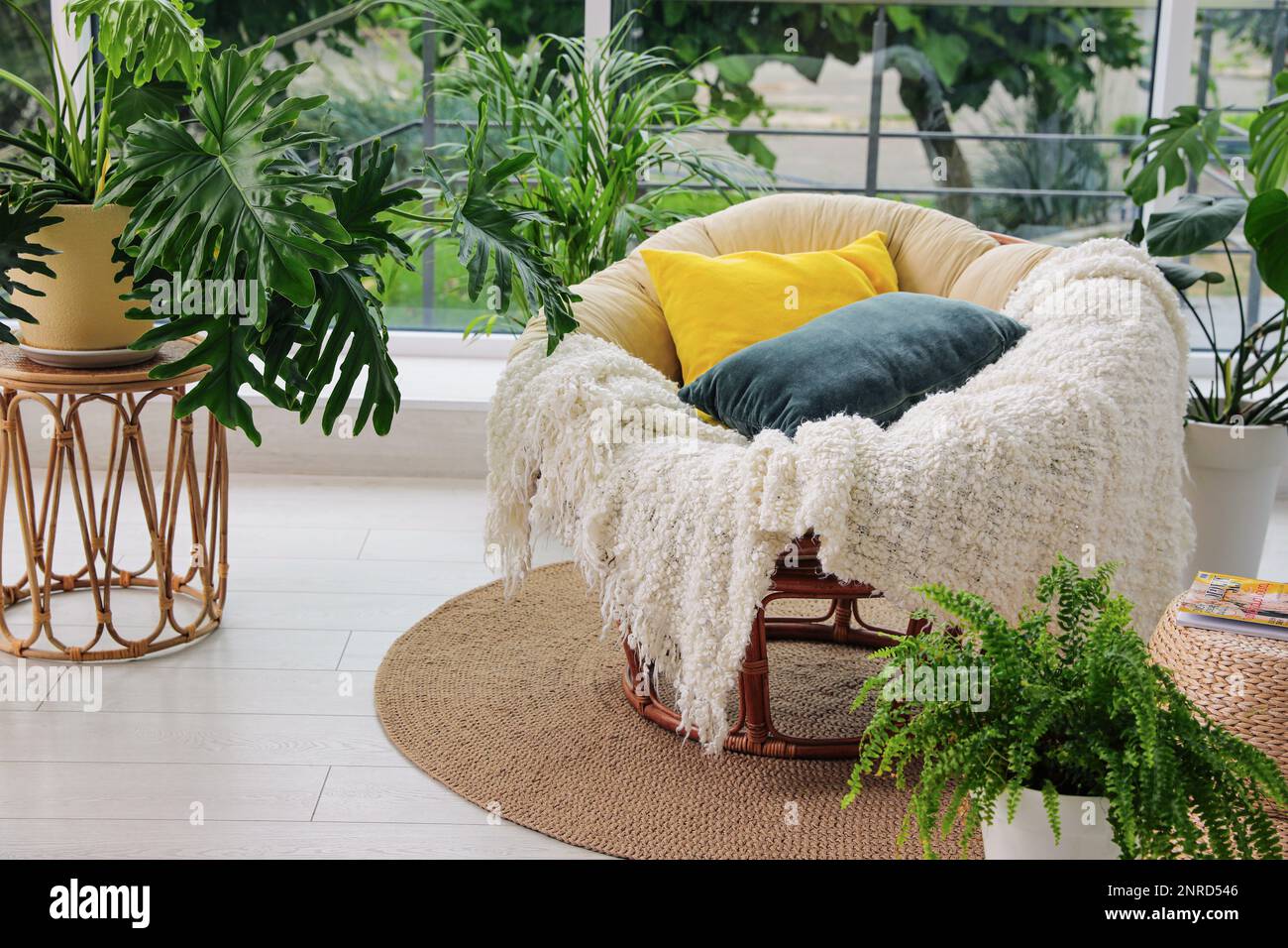 Indoor terrace interior with soft papasan chair and green plants Stock ...