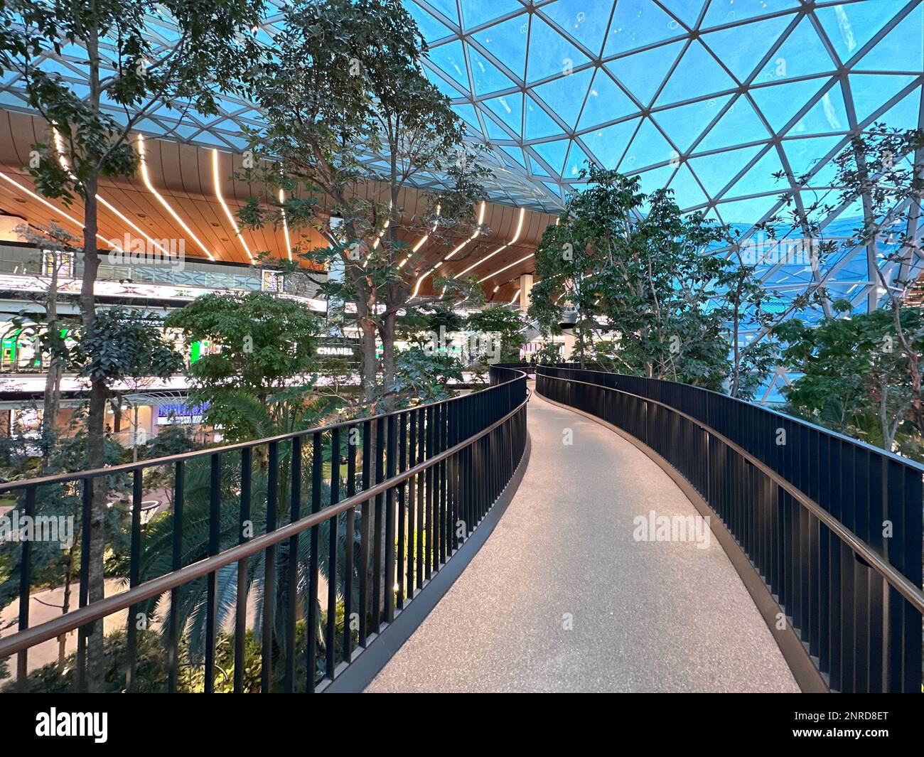 Hamad International Airport (DOH) expands with indoor tropical garden ...