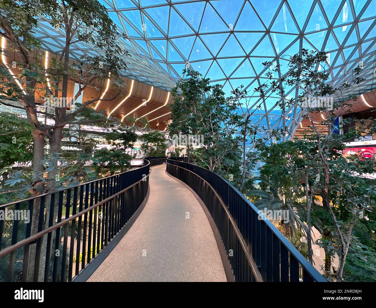 Hamad International Airport (DOH) expands with indoor tropical garden ...