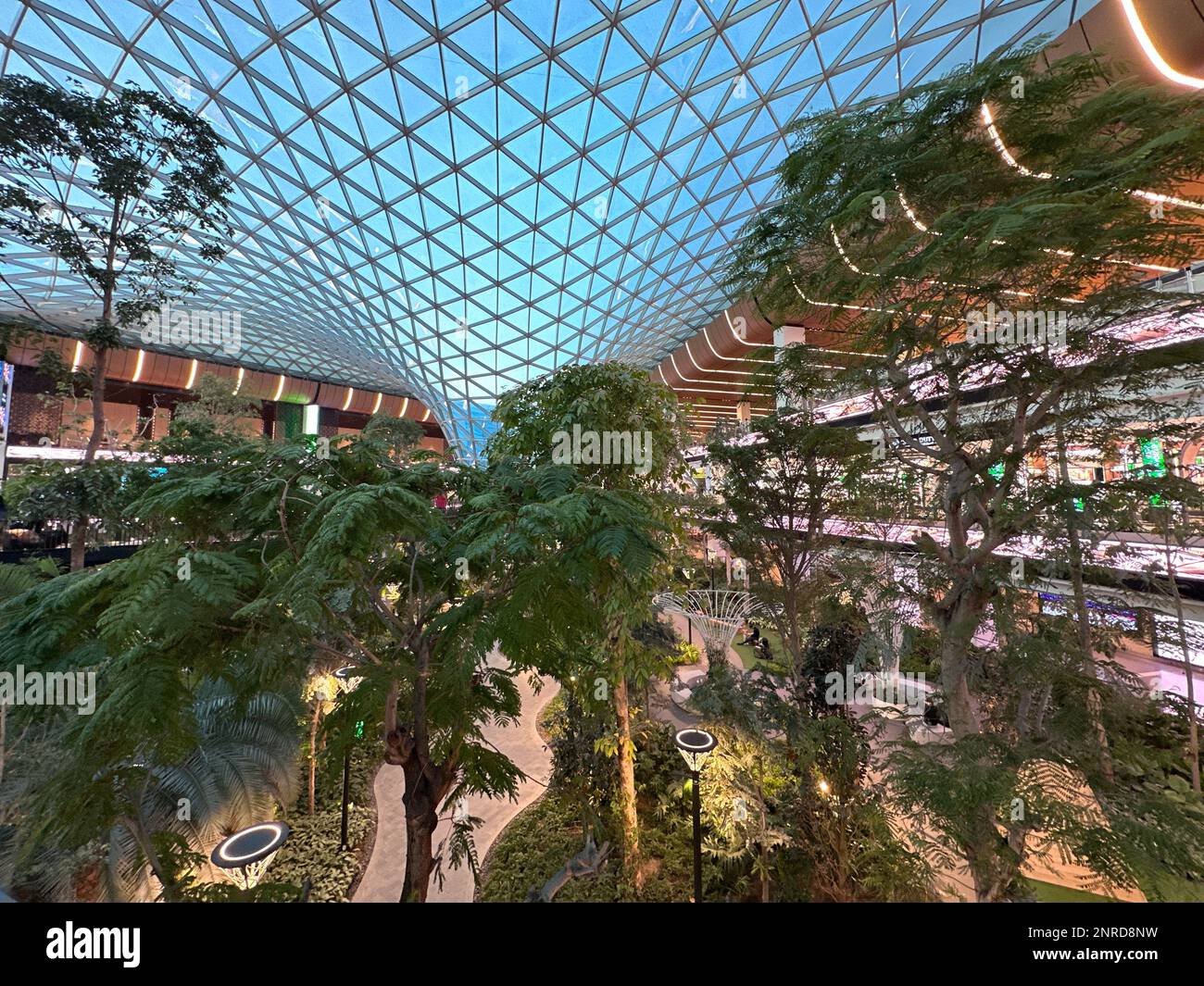 Hamad International Airport (DOH) expands with indoor tropical garden ...