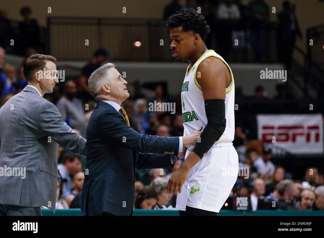 TAMPA, FL - JANUARY 12: South Florida Bulls head coach Brian Gregory ...