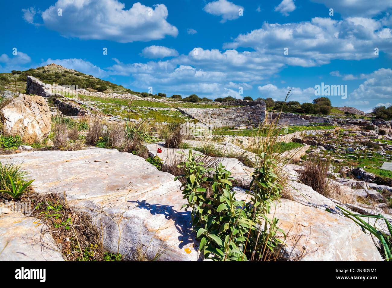 View of the ancient greek theater of Thorikos in Lavrio, Greece Stock ...