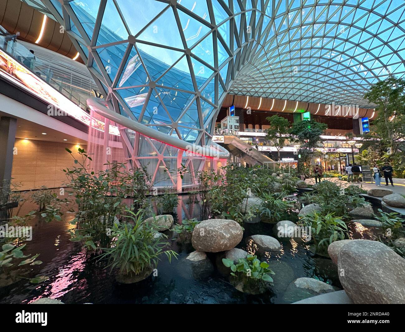 Hamad International Airport (DOH) expands with indoor tropical garden ...