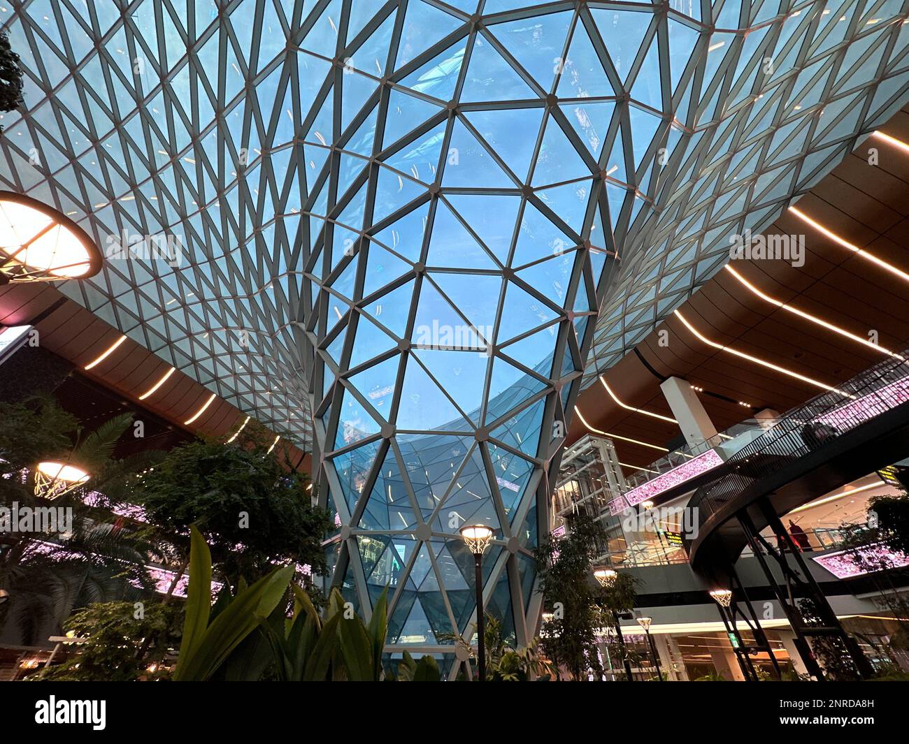 Hamad International Airport (DOH) expands with indoor tropical garden ...