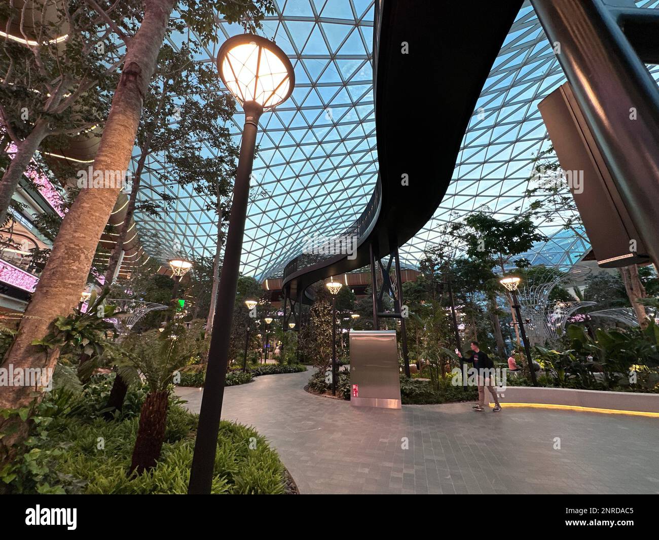 Hamad International Airport (DOH) expands with indoor tropical garden ...
