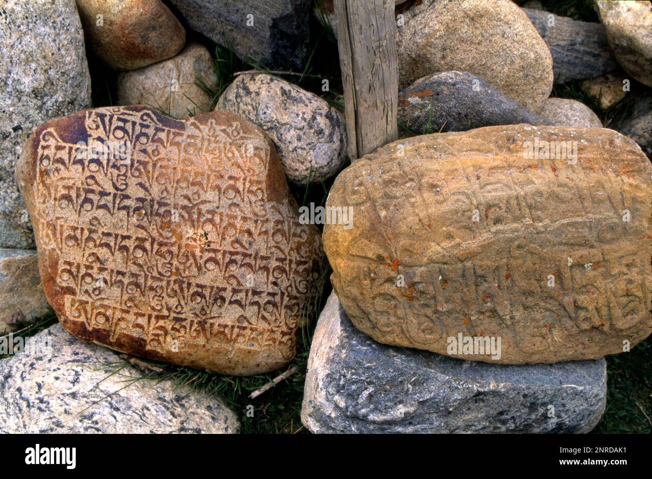 Tibetan inscription hi-res stock photography and images - Alamy