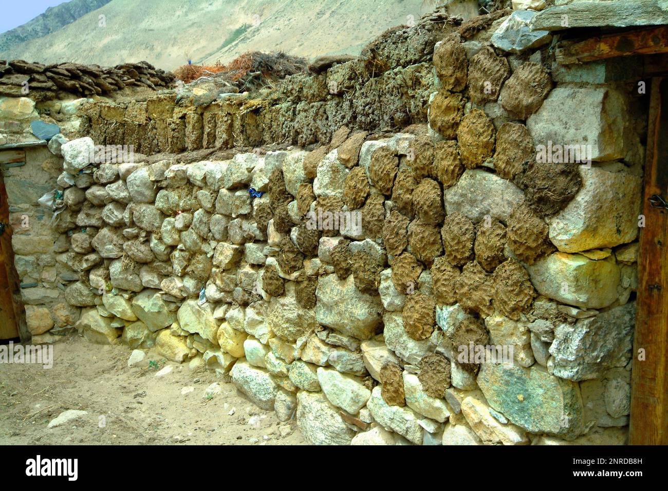 China, Tibet, Yak dung glued to a wall to dry, used as an alternative ...