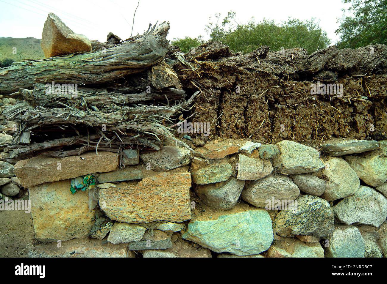 China, Tibet, Yak dung glued to a wall to dry, used as an alternative ...