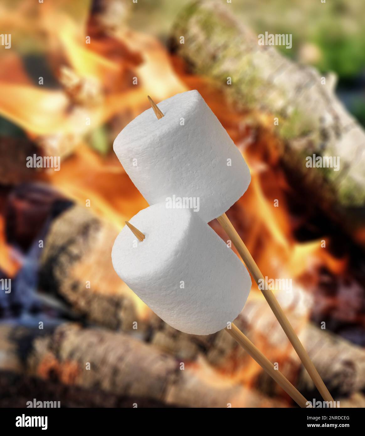 Delicious puffy marshmallows roasting over bonfire outdoors Stock Photo - Alamy