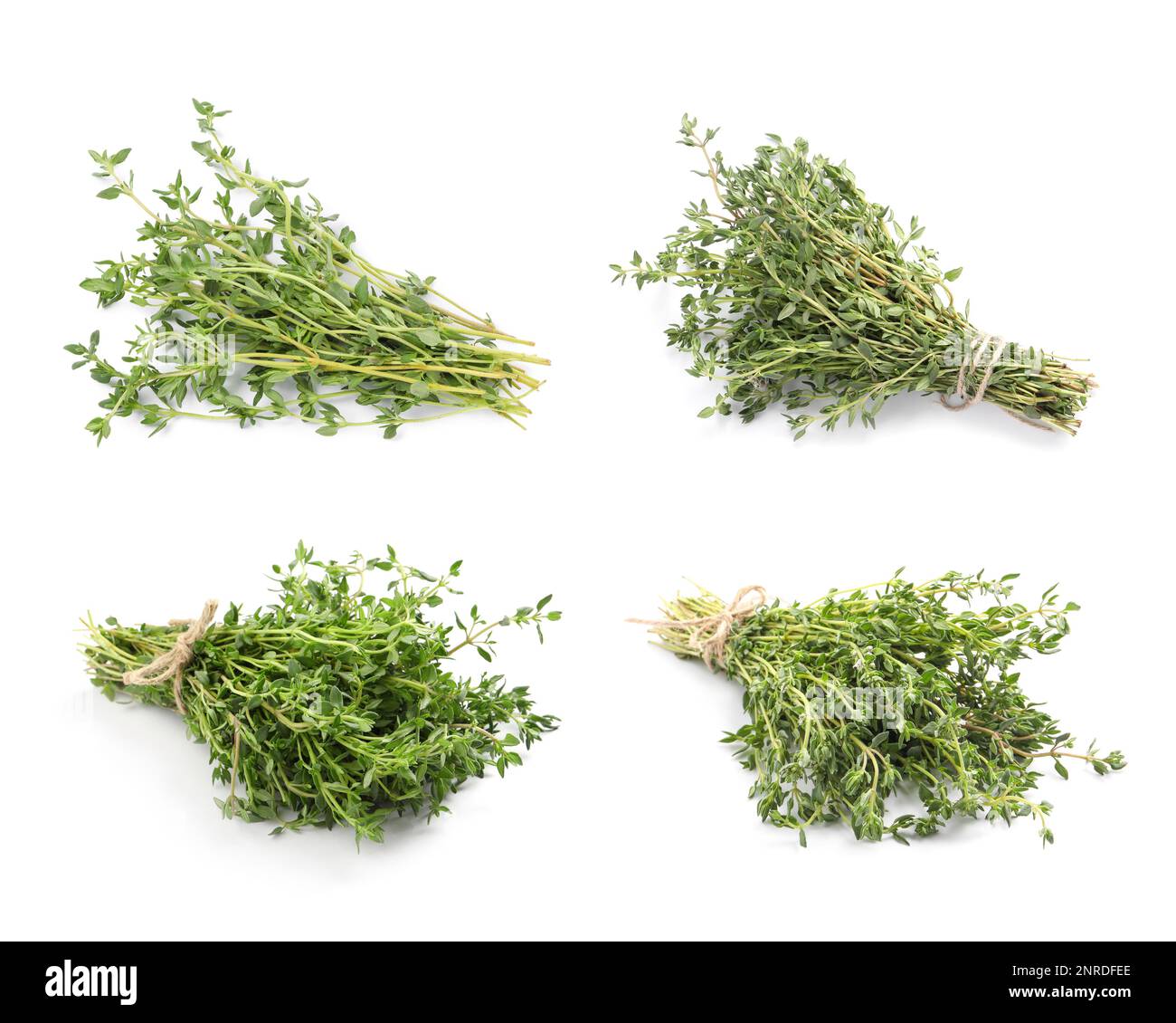 Set with aromatic thyme on white background Stock Photo - Alamy