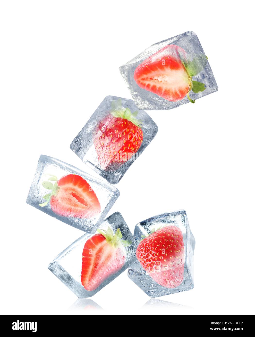 Strawberries frozen in ice cubes falling on white background Stock ...