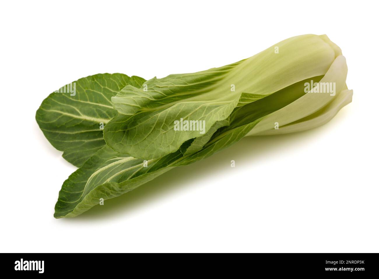 Fresh Pak choi isolated on white background Stock Photo - Alamy