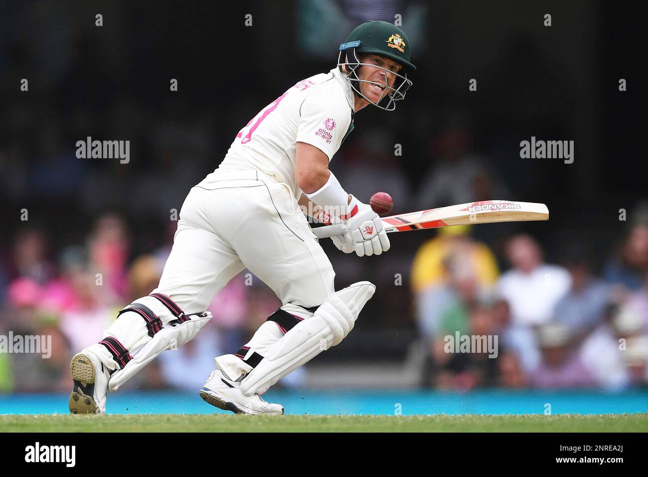 Australia's David Warner bats on day four of the third cricket test ...