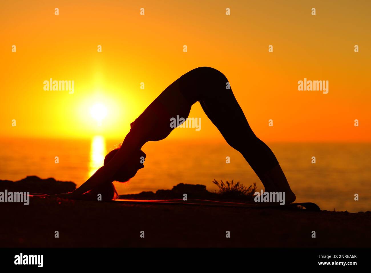 Profile of a woman stretching doing yoga exercise Stock Photo - Alamy