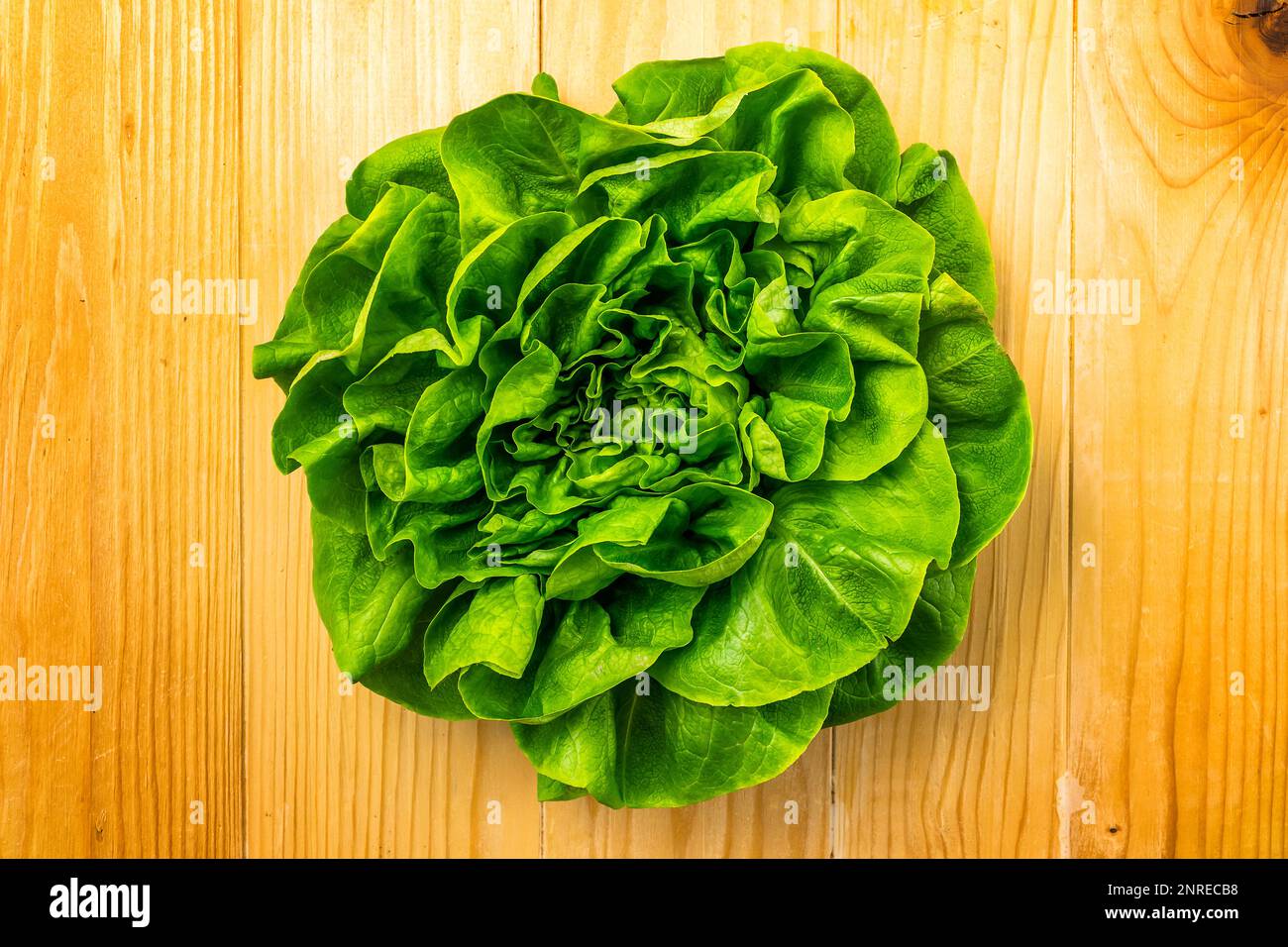 Single lettuce head over wooden table background Stock Photo - Alamy