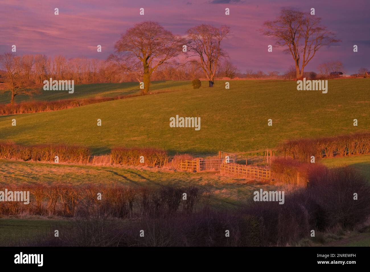 Beautiful Scottish Farmlands with farming fields and gates at sunset at ...