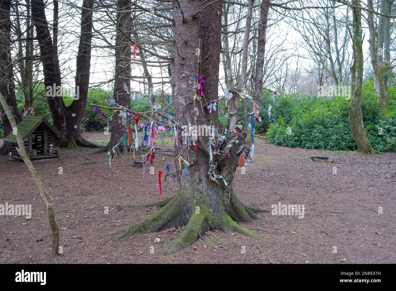 Troon, Scotland, UK - The memory tree and the fairy glen footpaths of ...