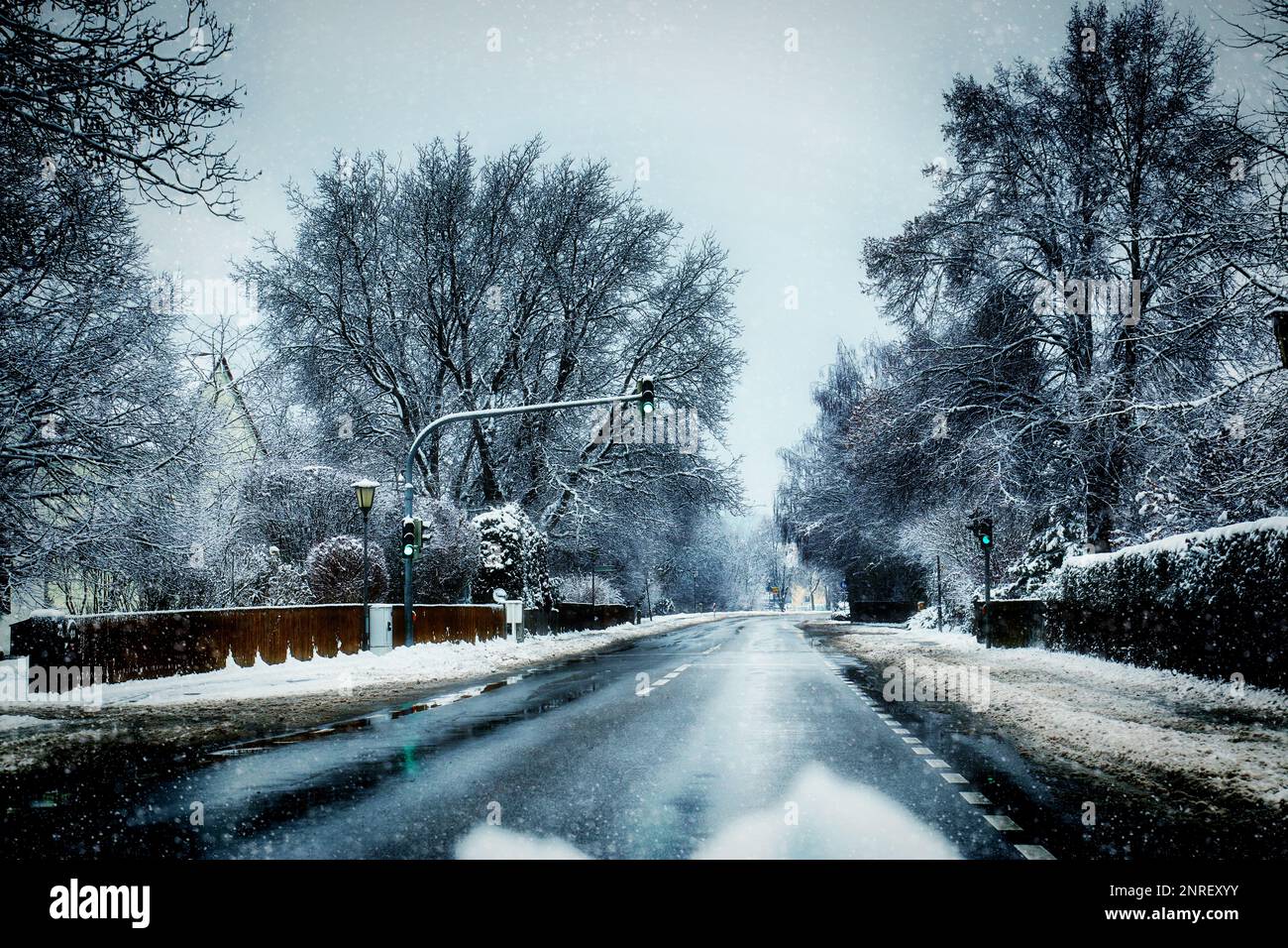 Snow and snowfall in Munich, Germany: alley covered in white and green ...