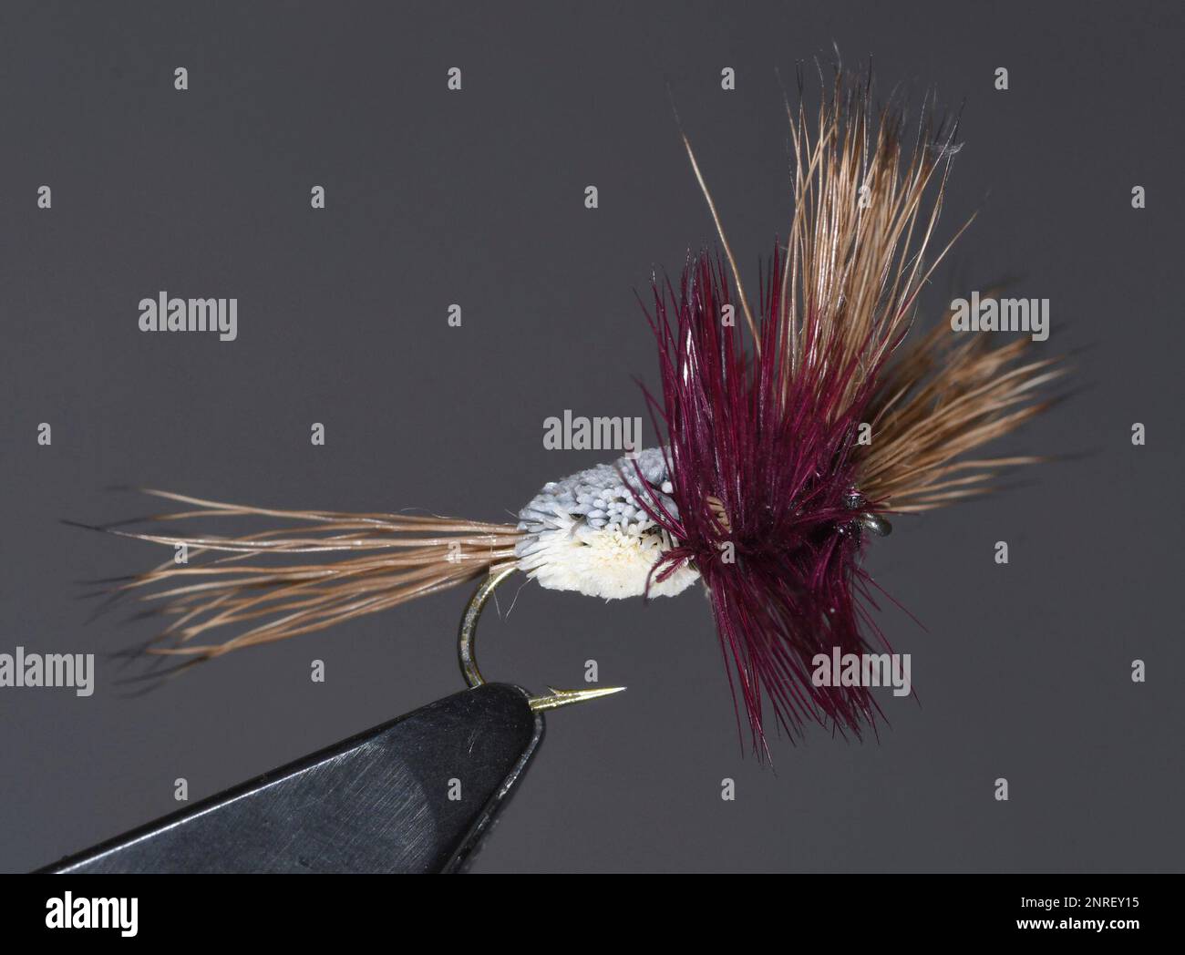 As popular as the Messinger Frogs have been, they still aren't as ...