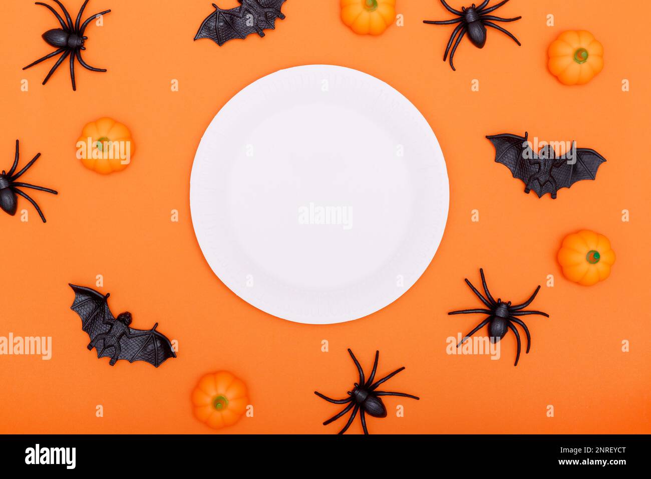 Halloween concept. Spiders, bats, mini pumpkins and a plate on an ...