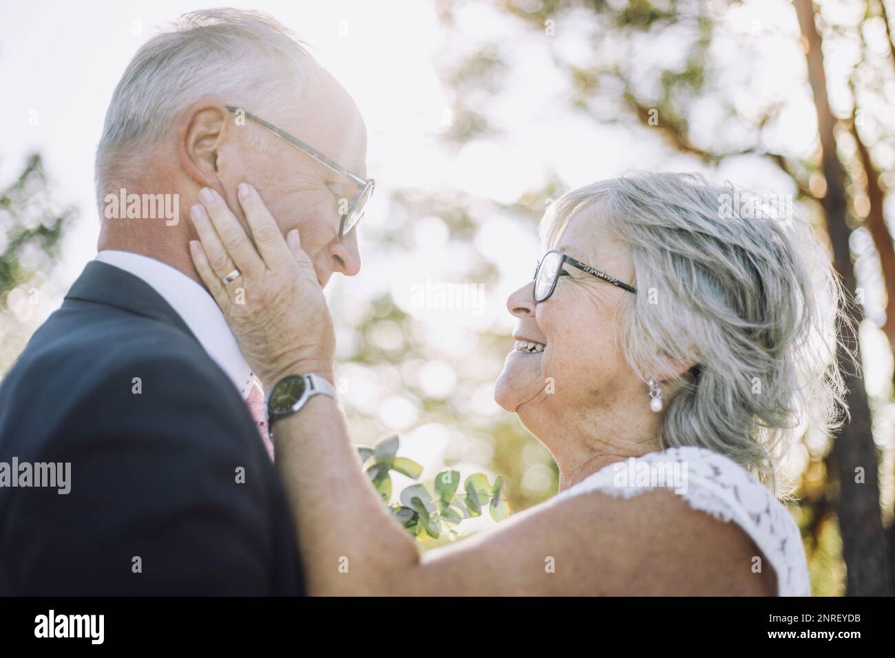 Smiling affectionate senior bride touching groom's cheek Stock Photo ...
