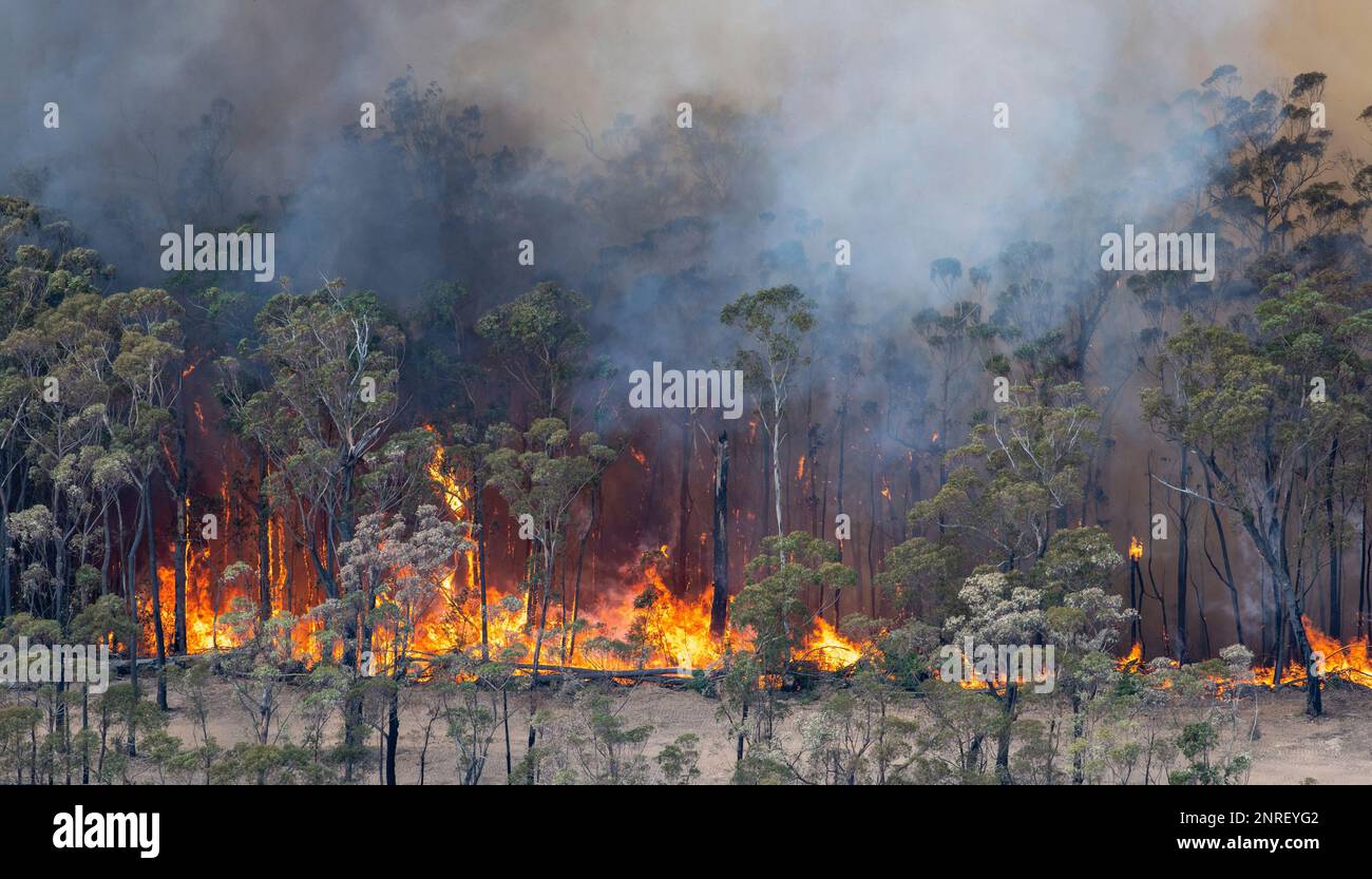This Monday, Dec. 30, 2019 photo provided by State Government of ...