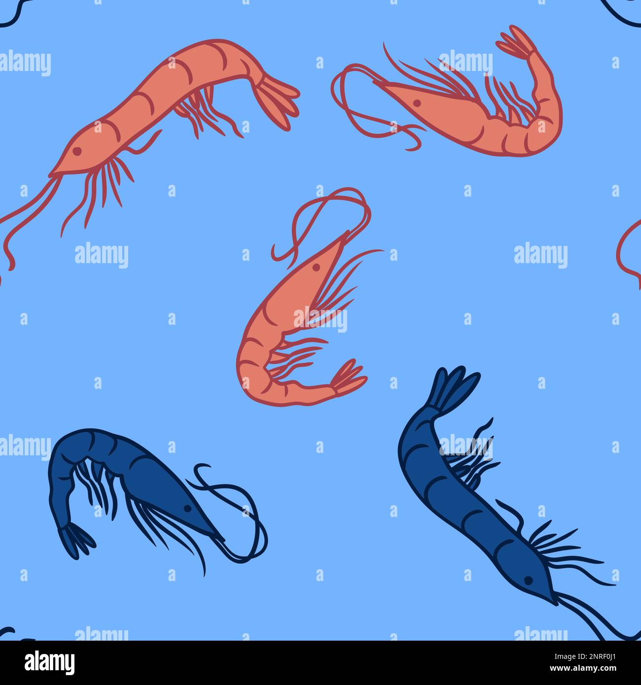 Printable Picture Of Shrimp
