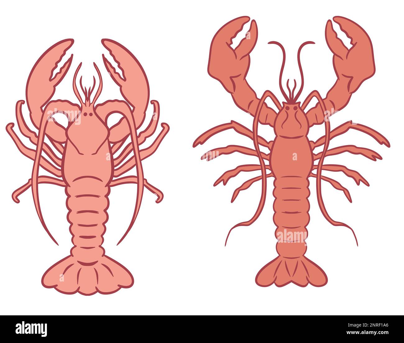 Hand drawn illustration peach orange lobsters on turquoise background ...