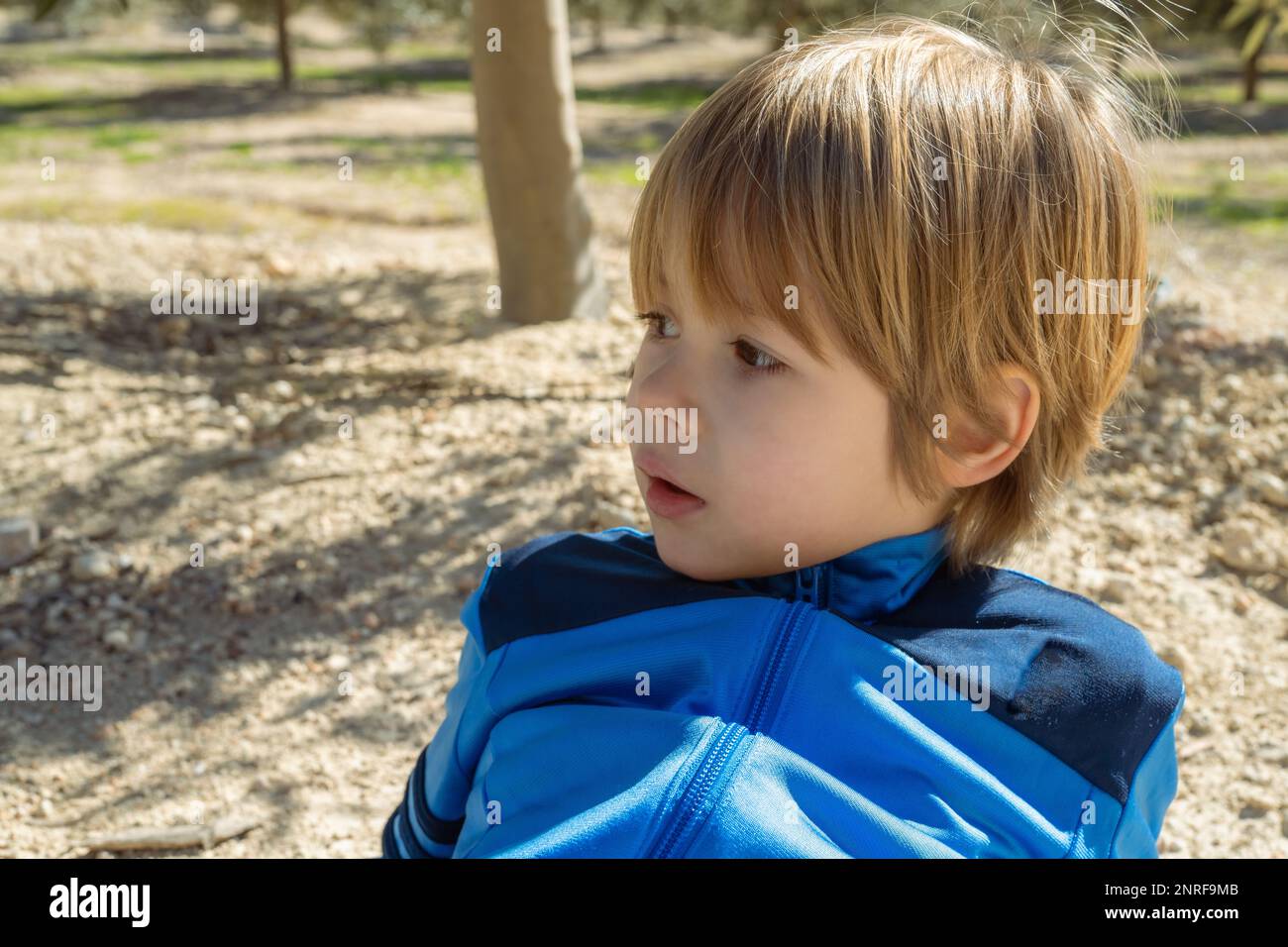 Child boy playing under the tree. Beautiful portrait of a child. Boy ...