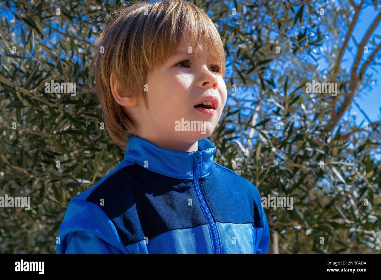 Child boy playing under the tree. Beautiful portrait of a child. Boy ...
