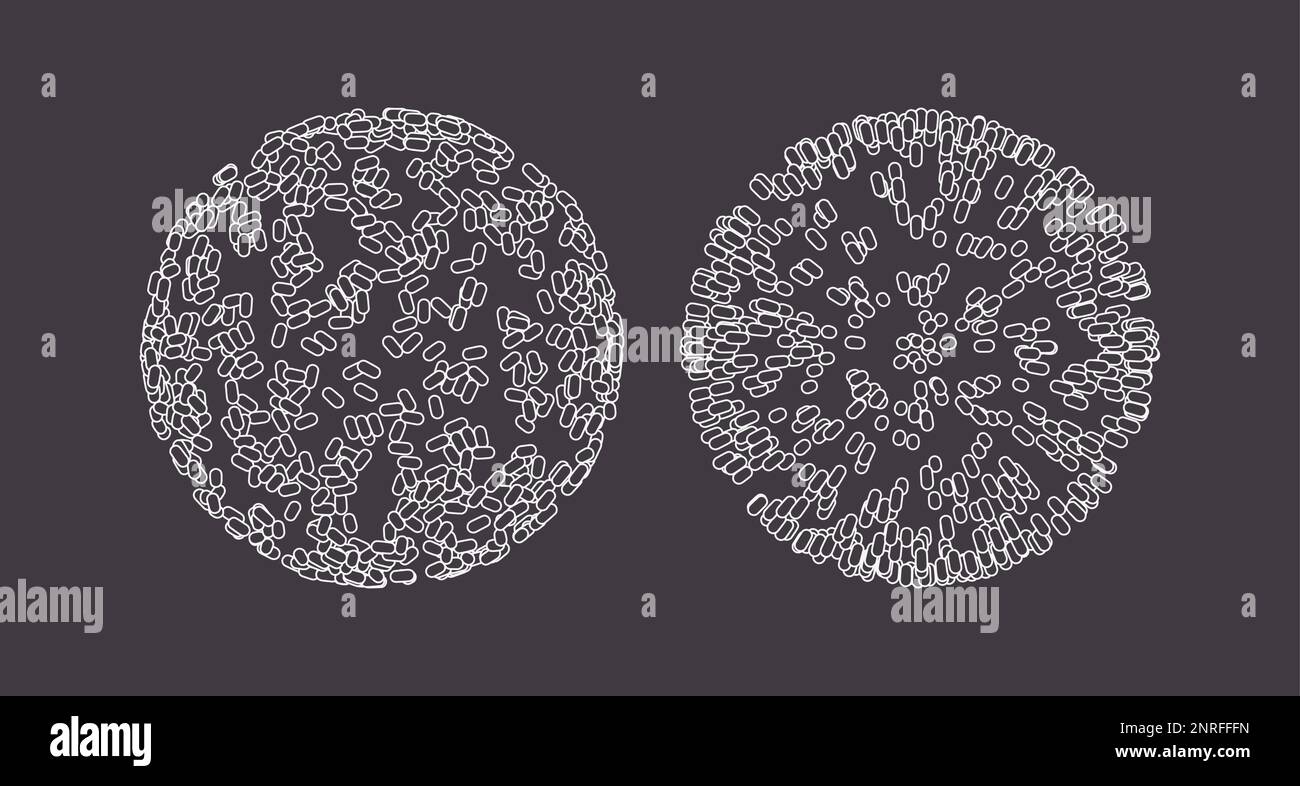 Sphere formed by many ellips. 3d vector illustration for science ...