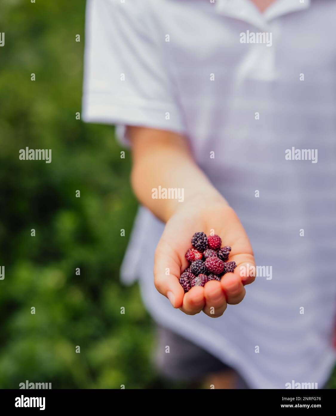 Kids farming hi-res stock photography and images - Alamy