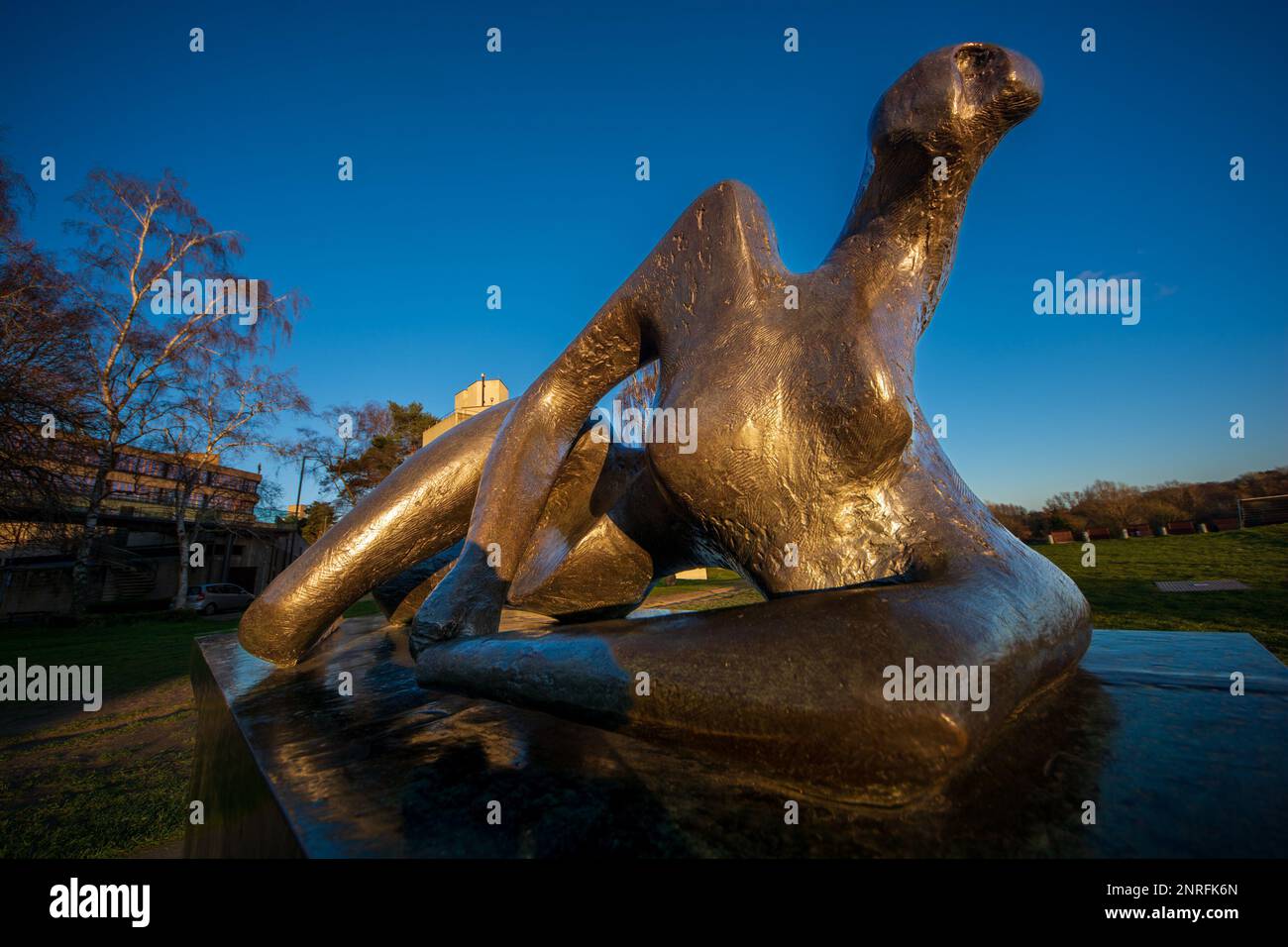 UEA Norwich Sculpture Park HENRY MOORE Reclining Figure, 1956–62 Stock Photo - Alamy