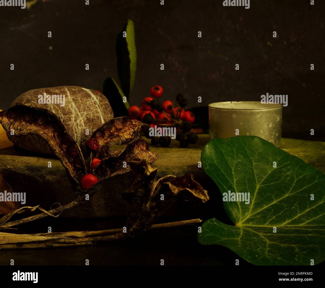 Medieval still life hi-res stock photography and images - Alamy