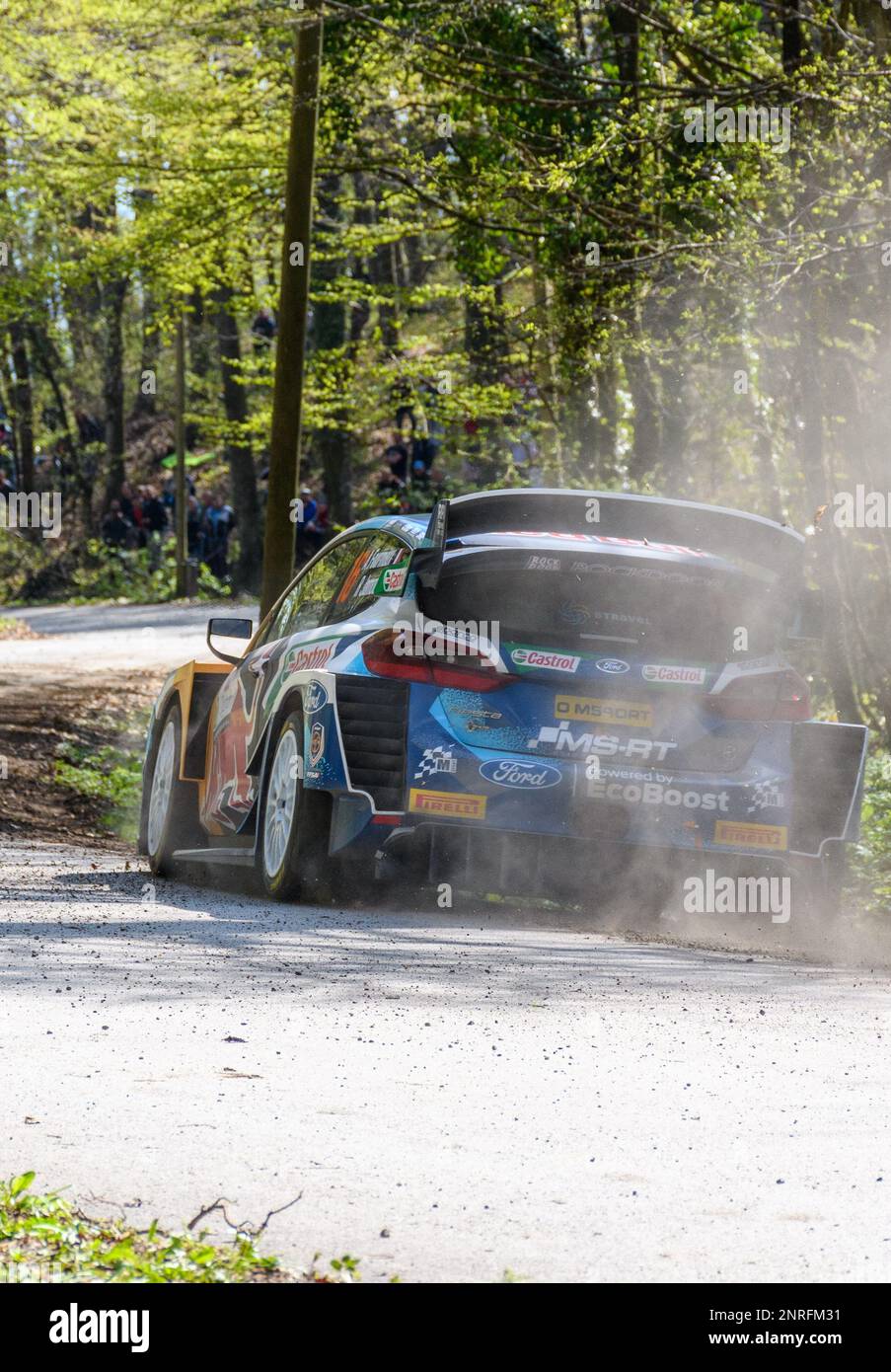 Rear view of Ford Fiesta WRC race car at Rally Croatia in April 2021 ...