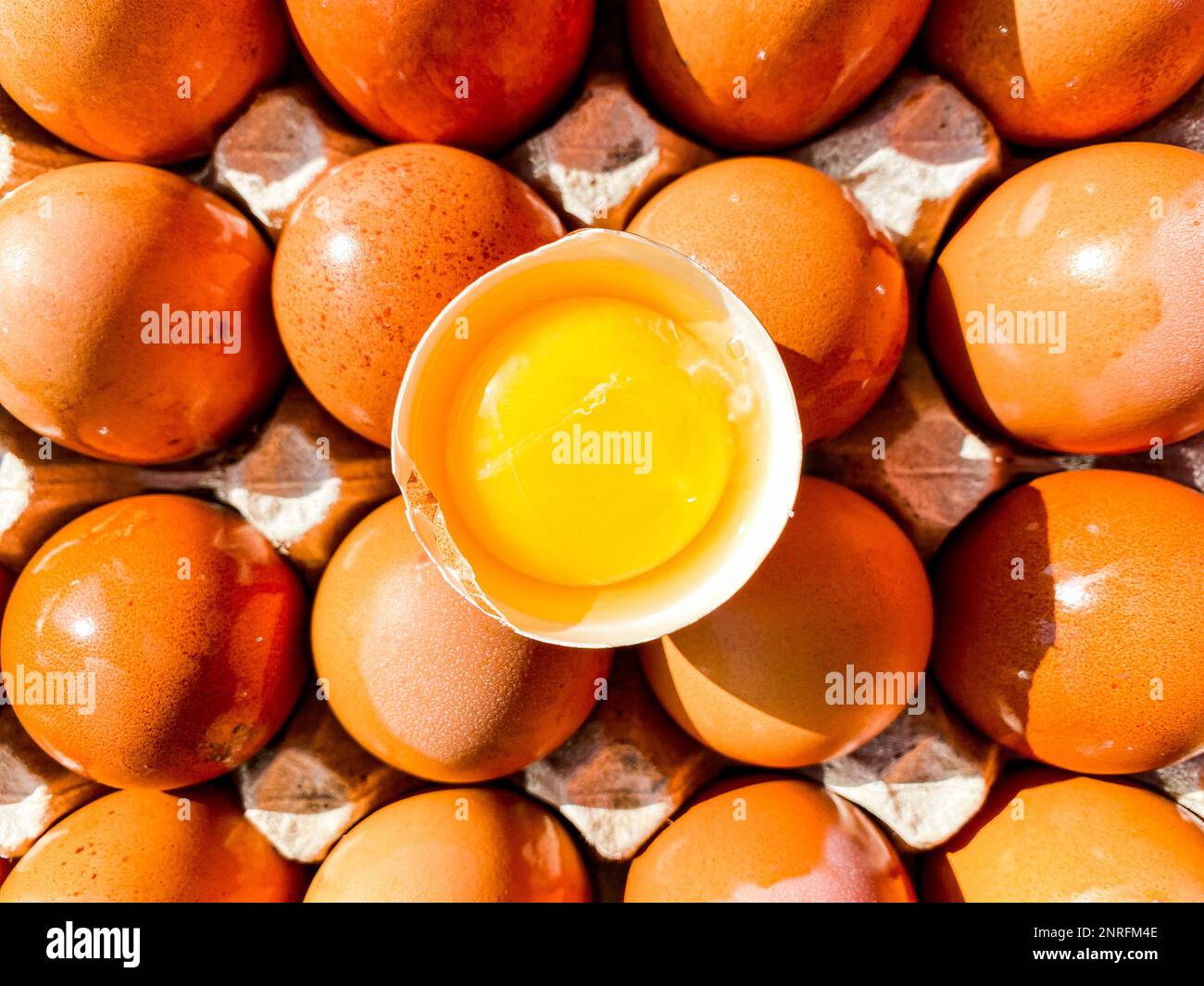 half an egg with yolk in an egg tray Stock Photo - Alamy