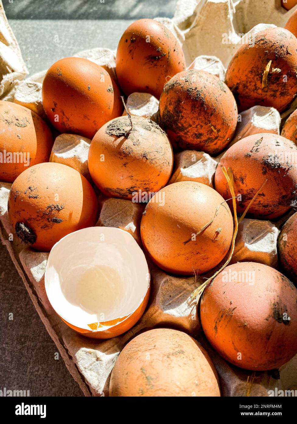 farm eggs and shells in a tray Stock Photo - Alamy
