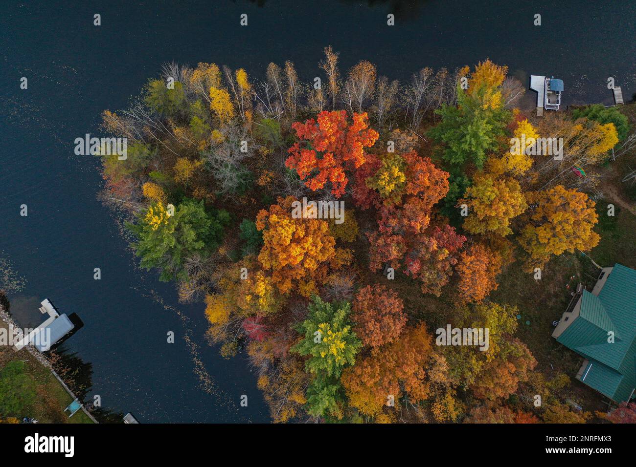 Fall colored trees and docks on lake Stock Photo - Alamy