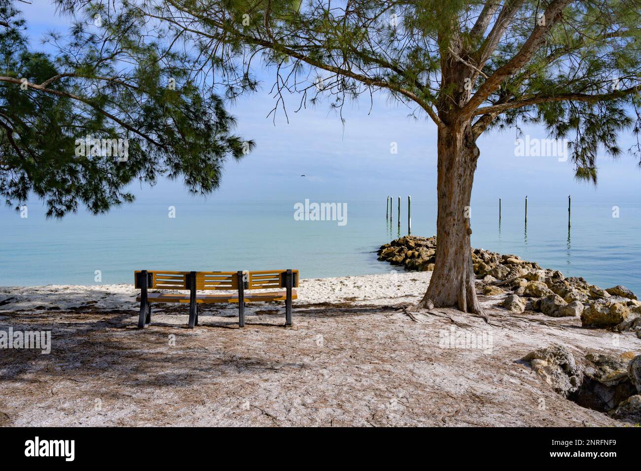 Bench On Peaceful Beach Overlooking Calm Waters Stock Photo - Alamy