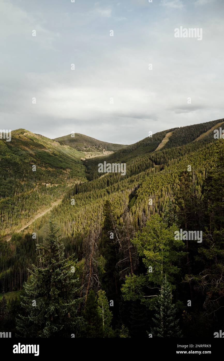 Fall top view hi-res stock photography and images - Alamy