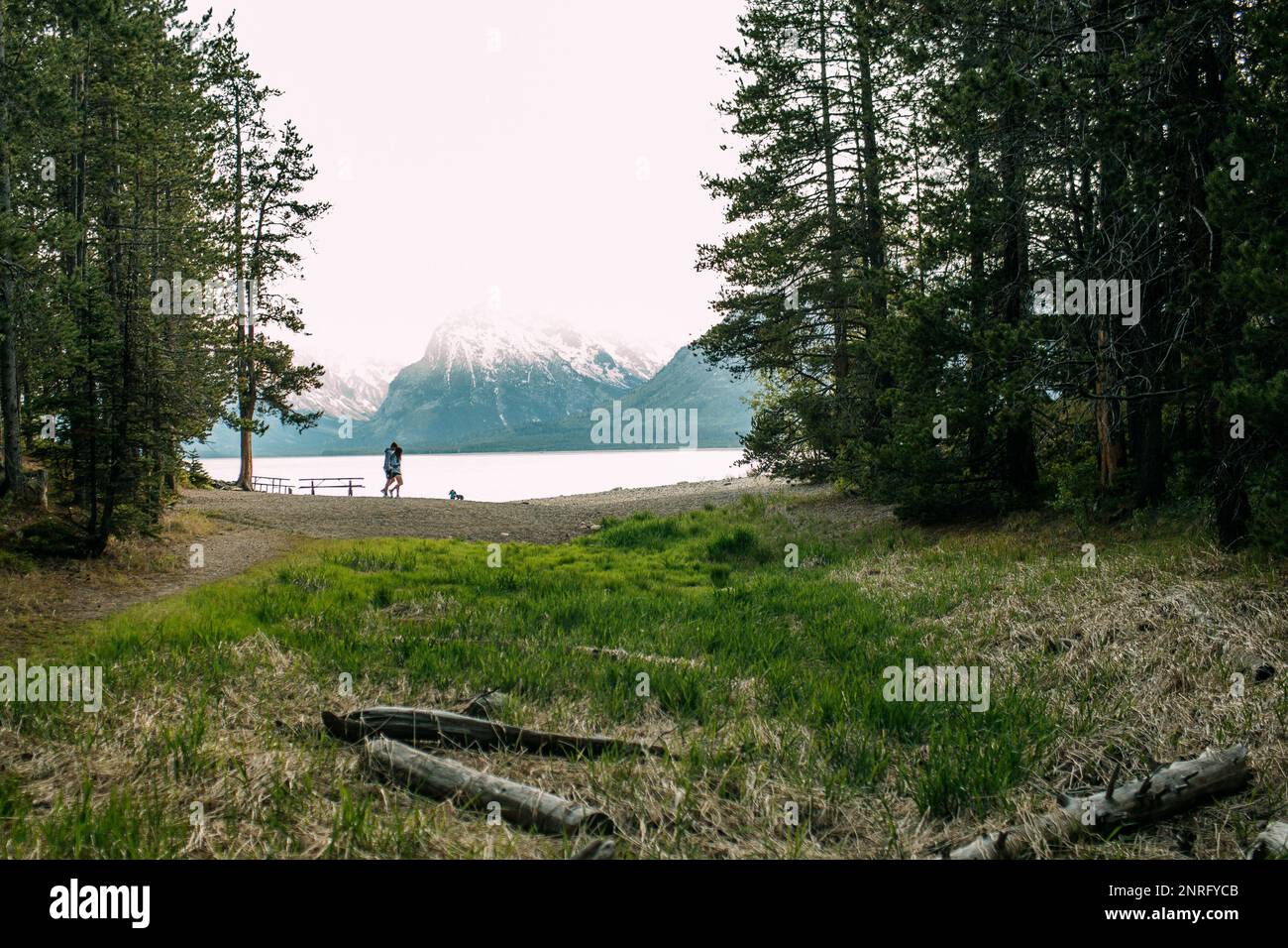 Teens walking in tree clearing with mountains behind them Stock Photo ...