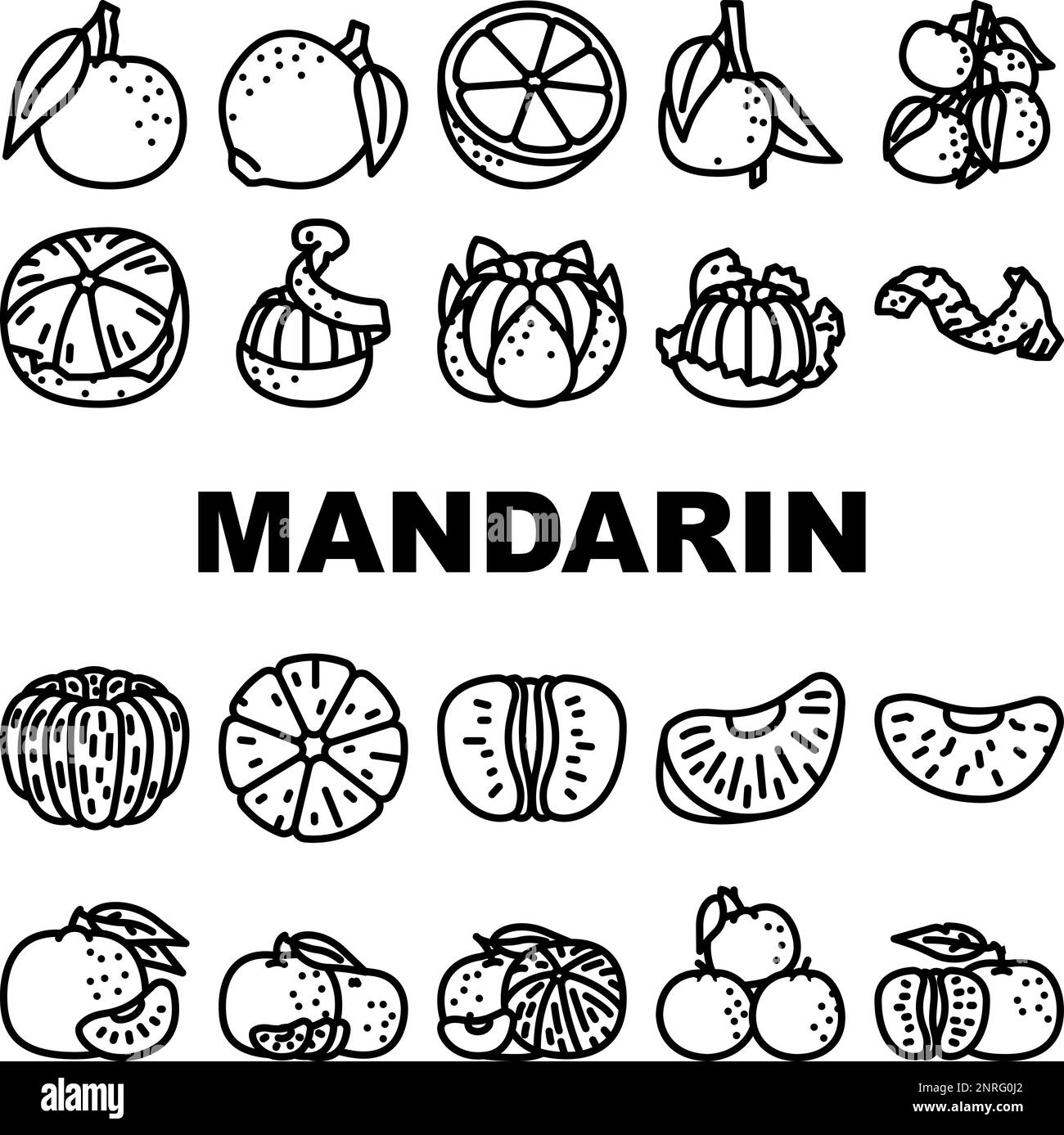 Tangerine mandarin peeled clementine Black and White Stock Photos ...