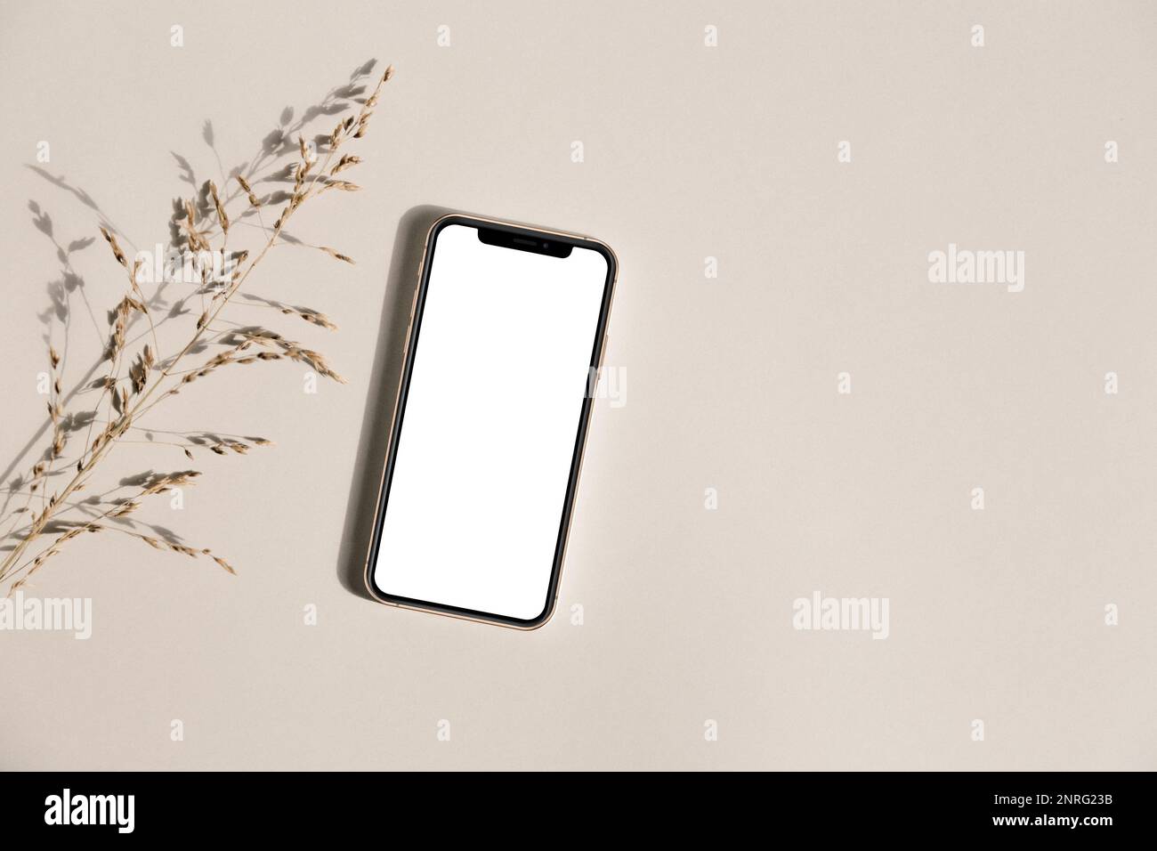 Tech mockup on neutral background Stock Photo - Alamy