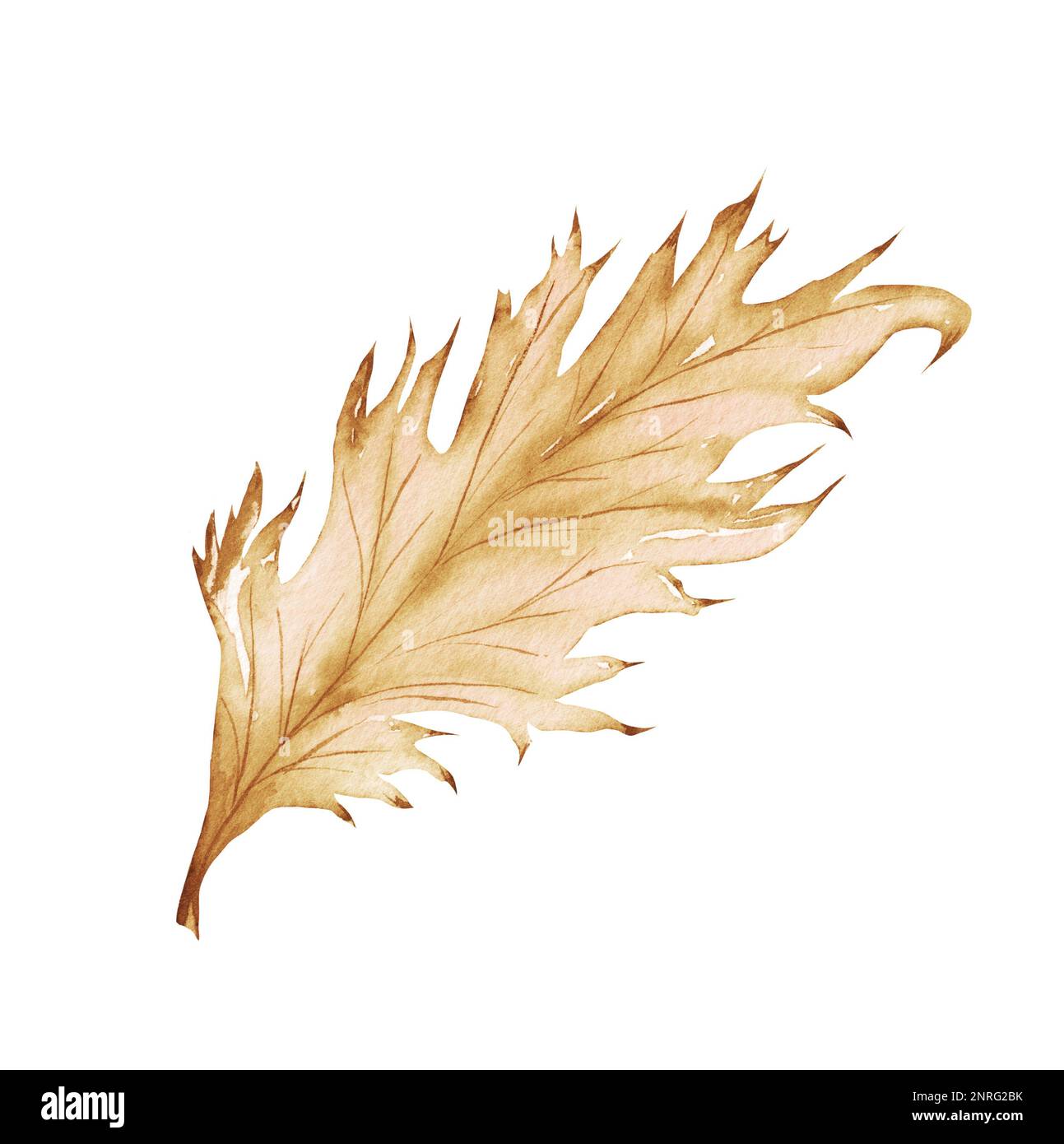 Watercolor exotic dry twig with gold textures. Hand painted boho leaves ...
