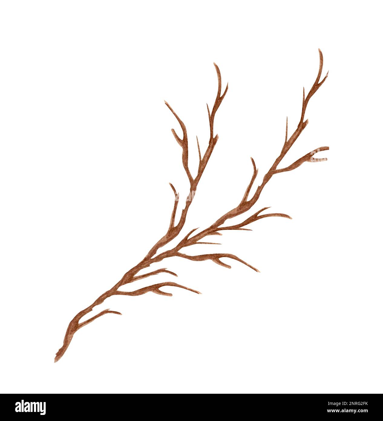 Watercolor exotic dry twig with gold textures. Hand painted boho leaves ...