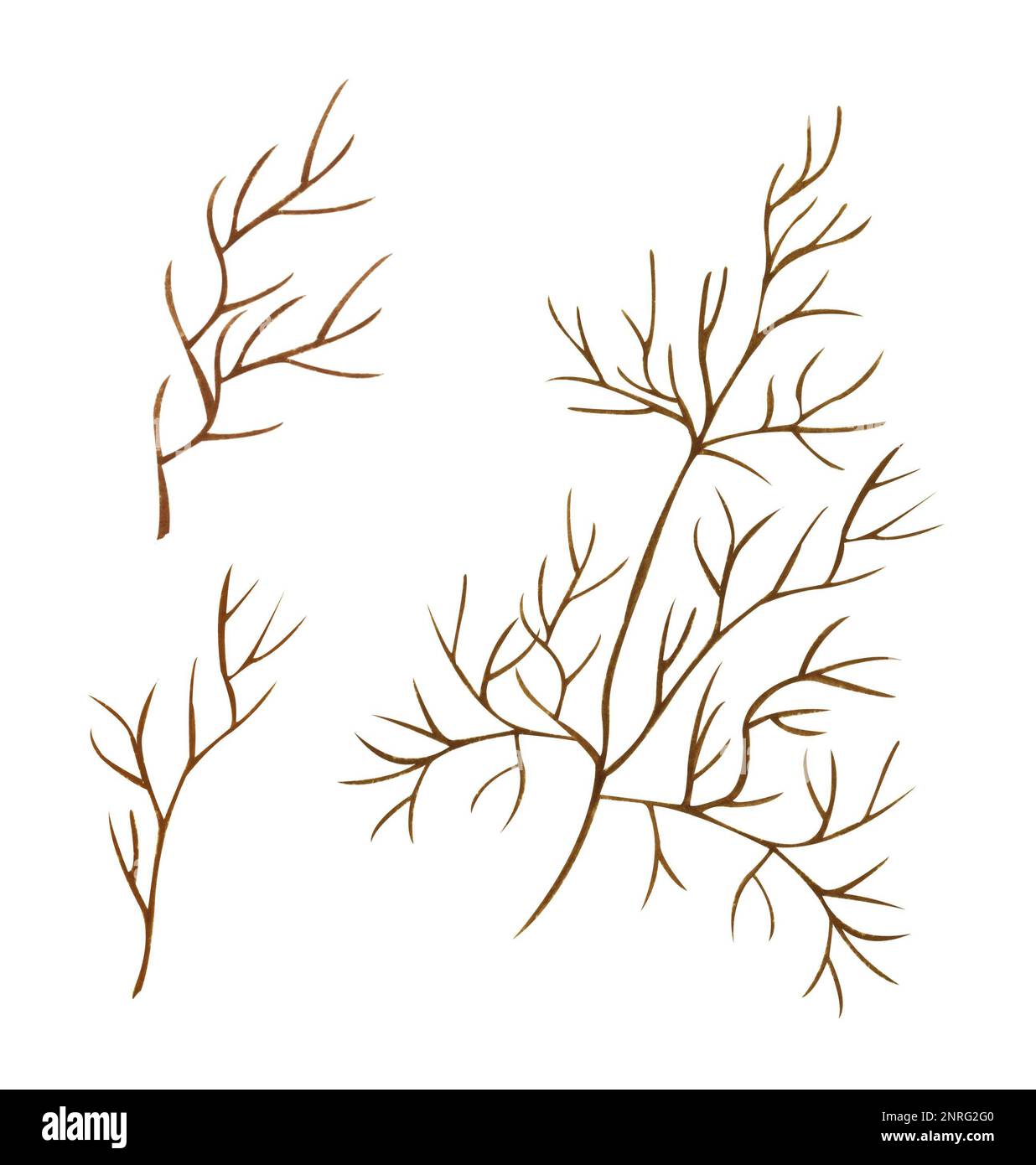 Watercolor exotic dry twig with gold textures. Hand painted boho leaves ...